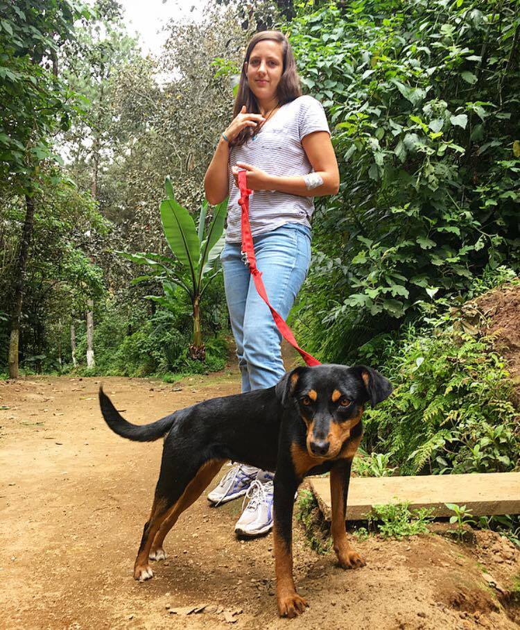 Mission and values – Animal Aware