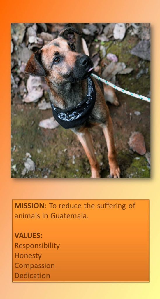 Mission and values – Animal Aware
