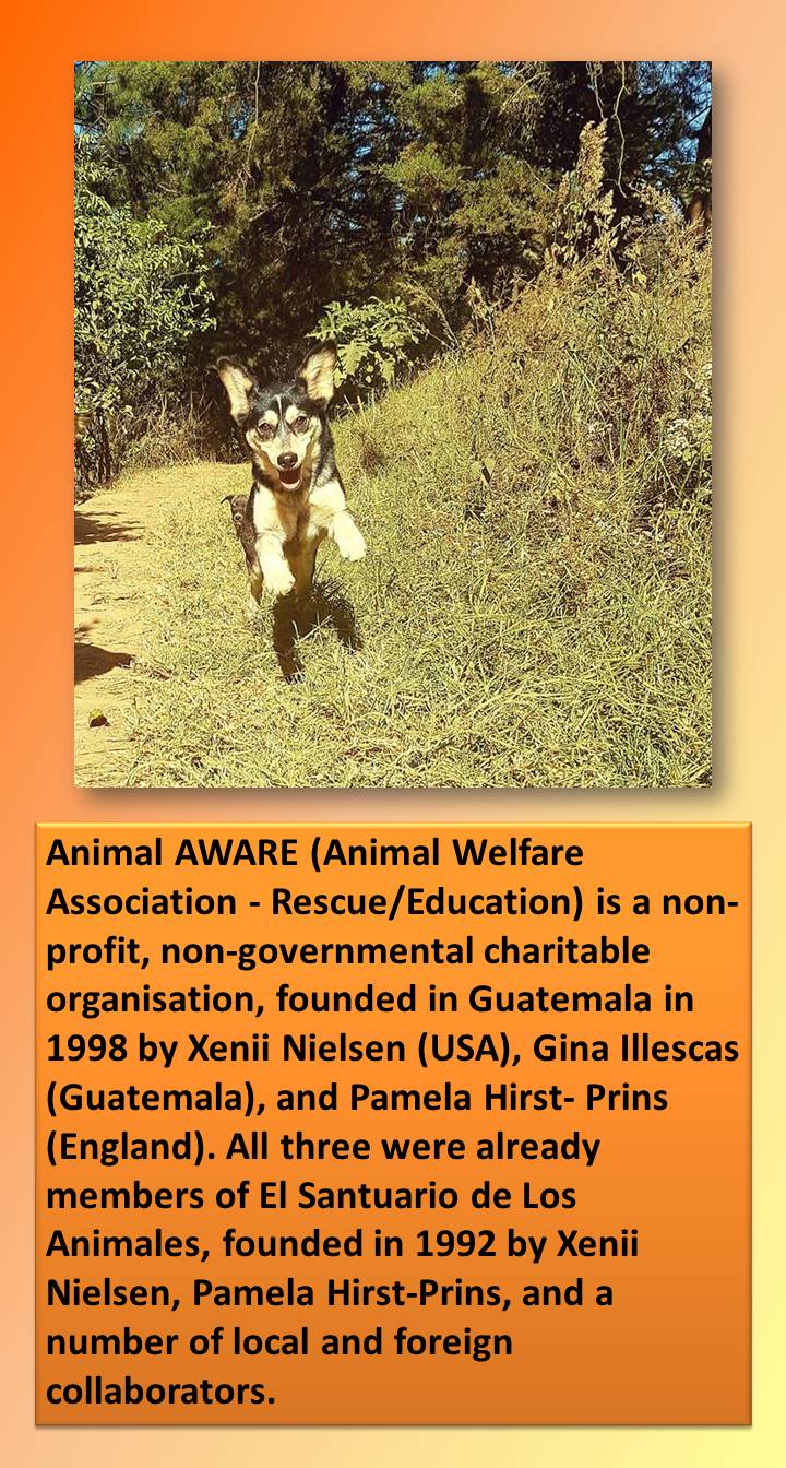 About us – Animal Aware